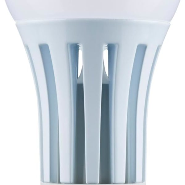 Light Bulbs – Vischer Funeral Supplies