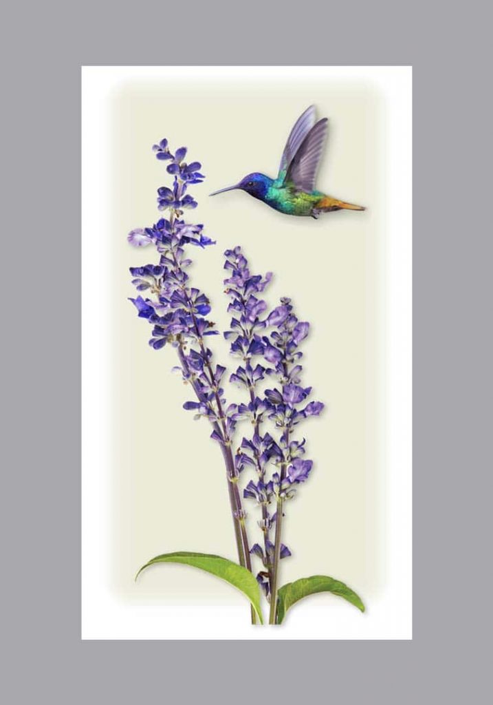 Hummingbird Prayer Card – Vischer Funeral Supplies